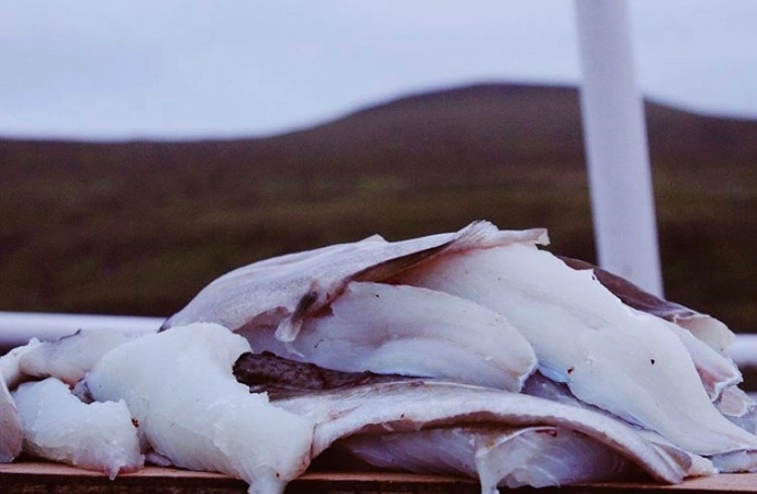 Pan fried faroese fish and dessert